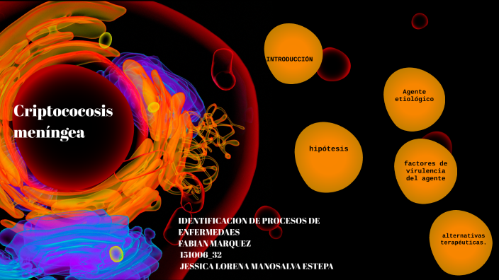 Criptococosis meníngea by maria Monsalve on Prezi