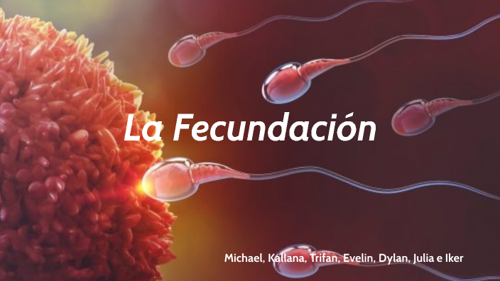 Fecundacion by michael vanegas ospina on Prezi