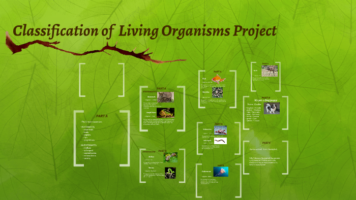 Classification of Living Organisms Project by Desley Mcaulay on Prezi