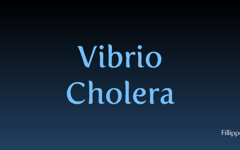Vibrio Cholera by Josh Middendorf on Prezi