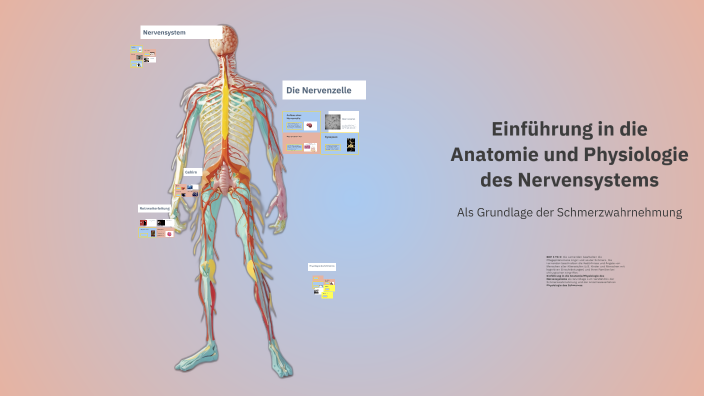 Einführung in die Anatomie und Physiologie des Nervensystems by Mirjam ...