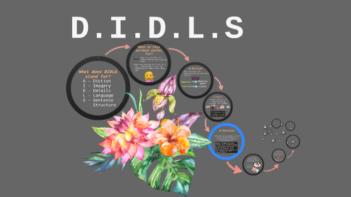 D.I.D.L.S by Allyson Hayes on Prezi