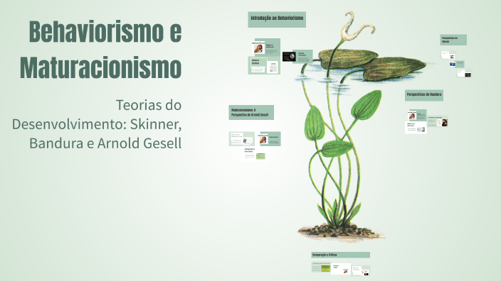 Behaviorismo e Maturacionismo by Leonardo Caqueiro on Prezi