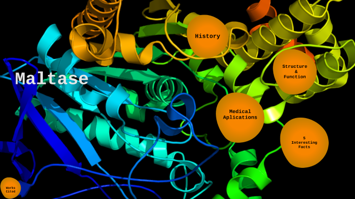 Enzyme Project by Patrick Kessmeier on Prezi