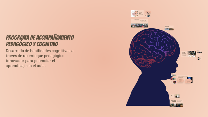 Programa de Acompañamiento Pedagógico y Cognitivo by SIMON VALENTE ...