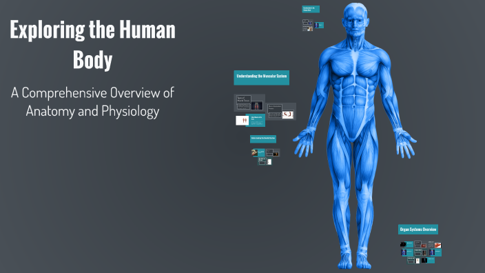 Exploring the Human Body by MG ZG on Prezi
