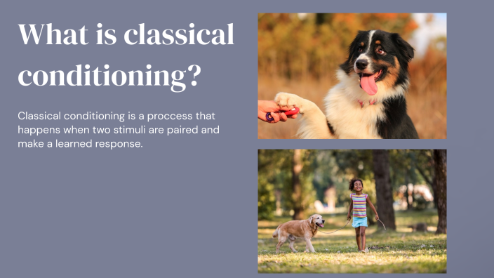 classical conditioning by gemma garcia on Prezi