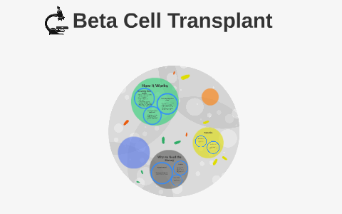 Beta Cell Transplant by JJJBNH Biomed