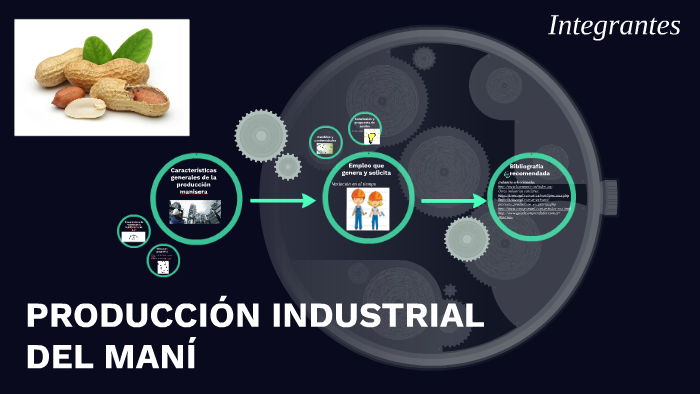 PRODUCCIÓN INDUSTRIAL DEL MANÍ by Aye Audisio on Prezi