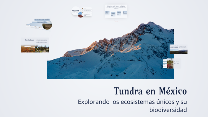Tundra en México by Thalia Suárez on Prezi