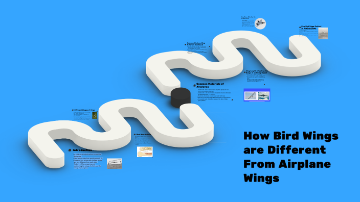 Bird Wings Compared to Airplane Wings by Tommy Stilley on Prezi