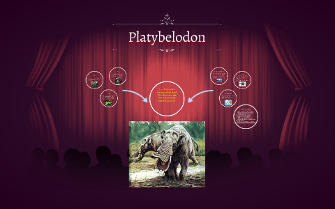 Platybelodon by on Prezi