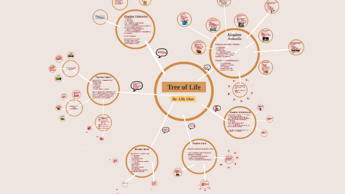 Tree of Life Cladogram by Lilly Ukos on Prezi