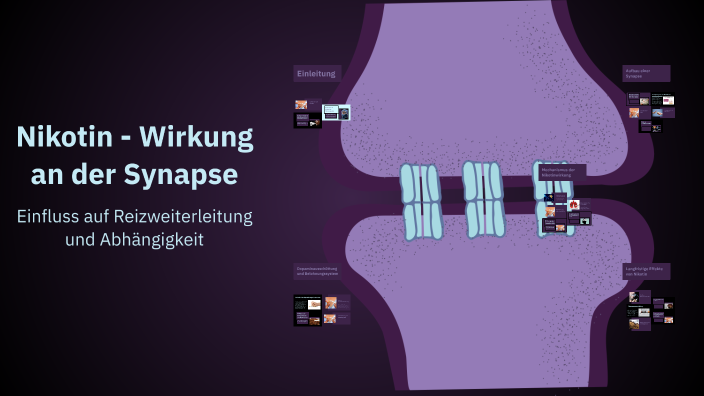 Nikotin - Wirkung an der Synapse by Pascal Lingk on Prezi