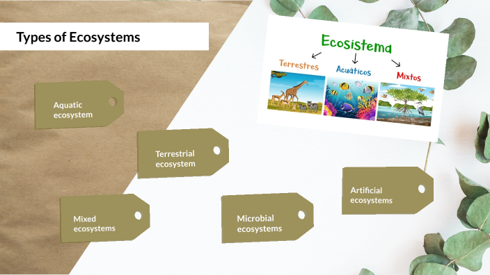 types of ecosystems by MONICA GUZMAN on Prezi