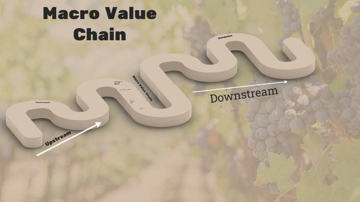 Micro Value Chain by Stephen Bisaccia on Prezi