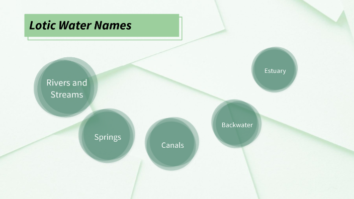 Lotic Bodies of Water by Rebecca Knoke on Prezi