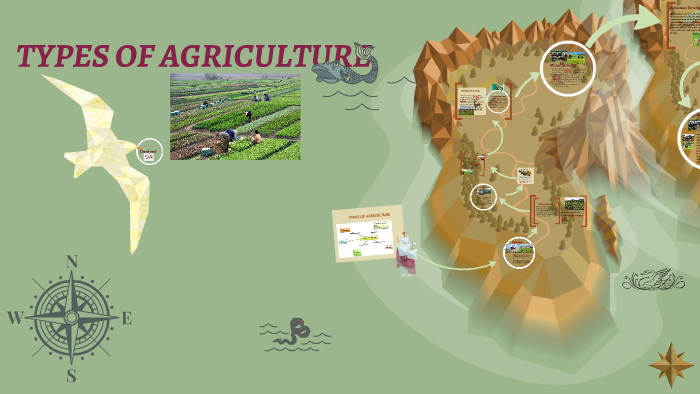 types of agriculture by ishani chowdhury on Prezi