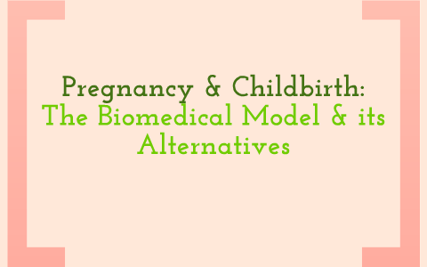 Pregnancy & Childbirth: The Biomedical Model & its Alternatives by ...