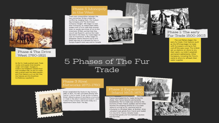 The 5 Phases of The Fur Trade by Julie Kuipers on Prezi