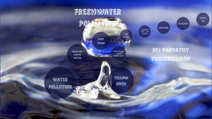 Human Impact Project by Parvathy Unnikrishnan on Prezi