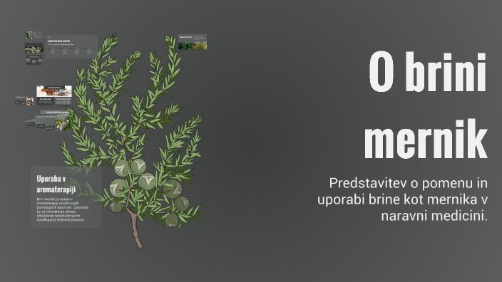 O brini mernik by Sara Ramšak on Prezi