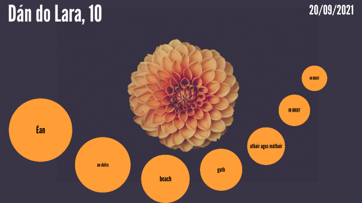 Dán do Lara, 10 by Liam Toth on Prezi