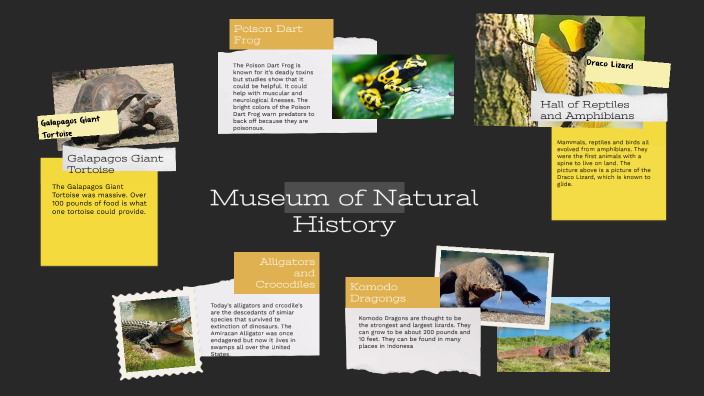 Virtual Field Trip for STEM by Sarah Castano on Prezi