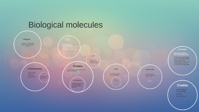 Biological molecule presentaion by Joseph Norwood on Prezi