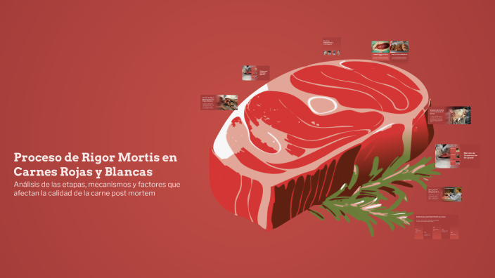 Proceso de Rigor Mortis en Carnes Rojas y Blancas by Kevin Joan Meneses ...