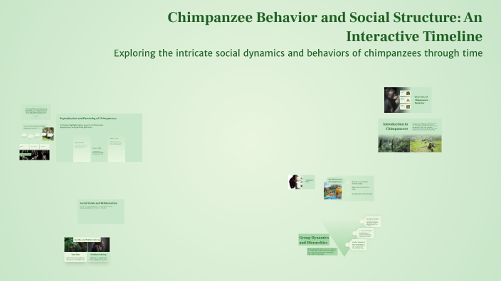Chimpanzee Behavior and Social Structure: An Interactive Timeline by ...