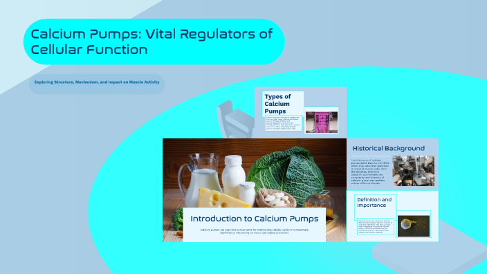 Calcium Pumps: Vital Regulators of Cellular Function by Alaa ...