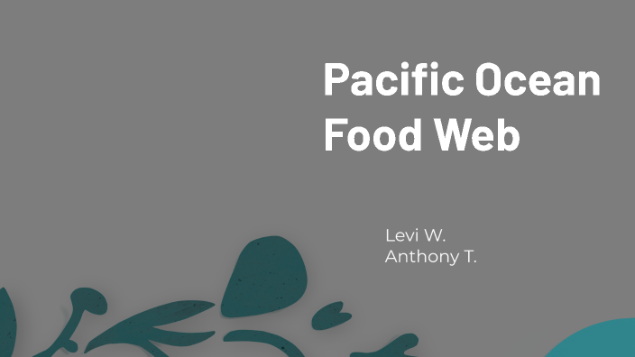 Pacific Ocean Food Web by Levi Witham on Prezi