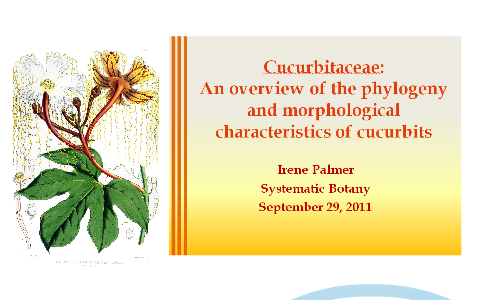 Cucurbitaceae: An overview of the phylogeny and morphological ...
