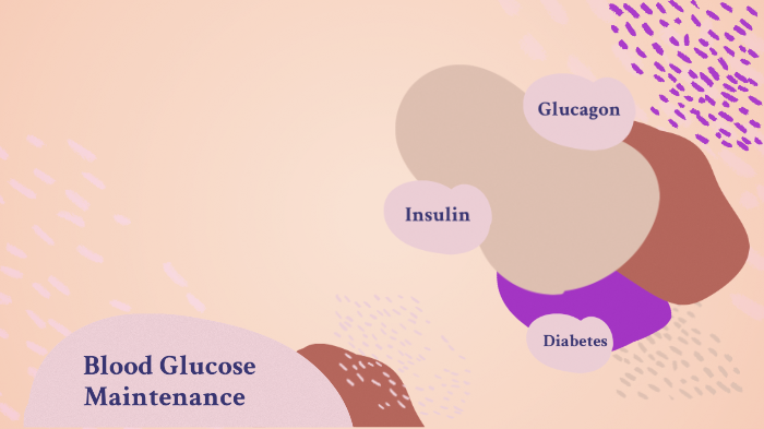 Insulin&Glucagon Project by HALLA ELMORE on Prezi