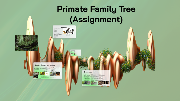 Primate fam tree by Kostas ........ on Prezi