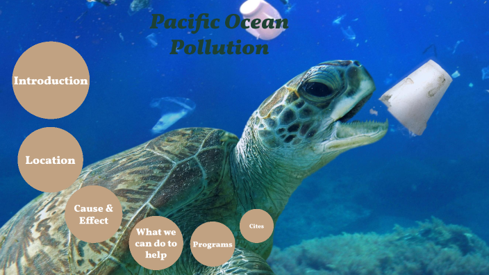Pacific Ocean Pollution by Pippa Roder on Prezi