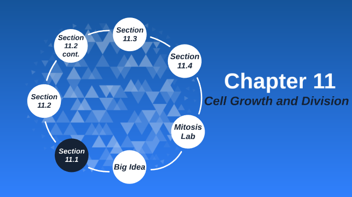 Chapter 11 - Cell Growth and Division by Josh Truax on Prezi