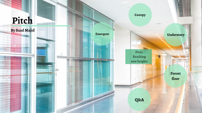 Levels of the forest by Saad Majid on Prezi