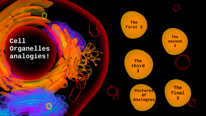 Cell Organelles analogies!! by Hayleigh Millerbernd on Prezi