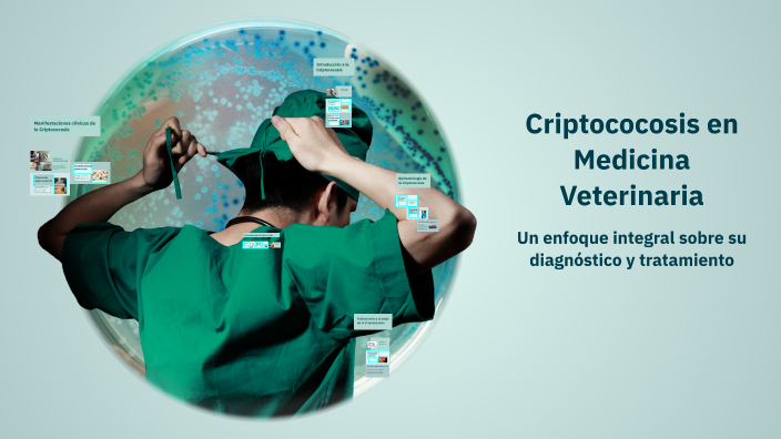 Criptococosis en Medicina Veterinaria by Sergio Bejarano Salgado on Prezi