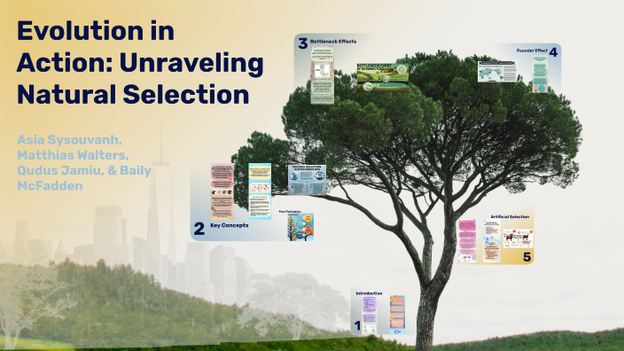 Natural Selection Infographics by Baily McFadden on Prezi