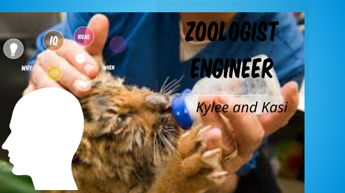 Zoologist Engineer by Kasi Harner on Prezi