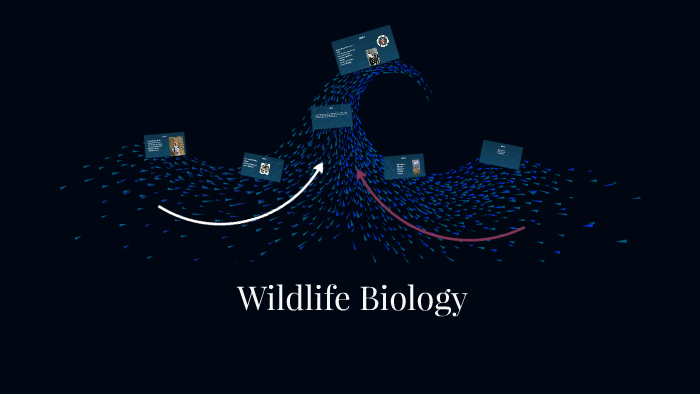 Wildlife Biology by Alex Mellis