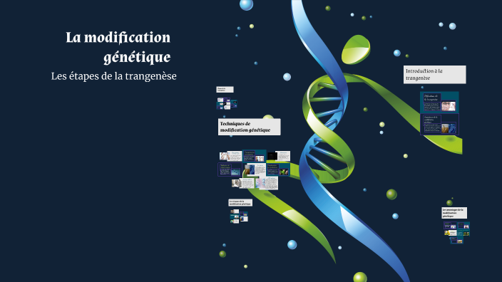 La modification génétique by Romaissae Asad on Prezi