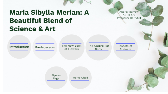 Maria Sibylla Merian: A Beautiful Blend of Science & Art by Audrey ...