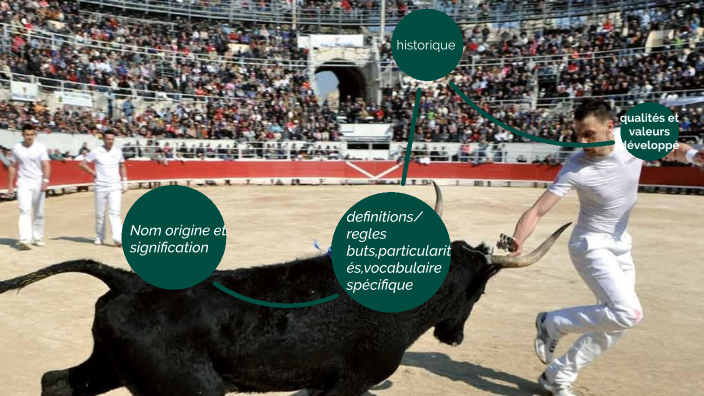 Course camarguaise by eliott bernard on Prezi