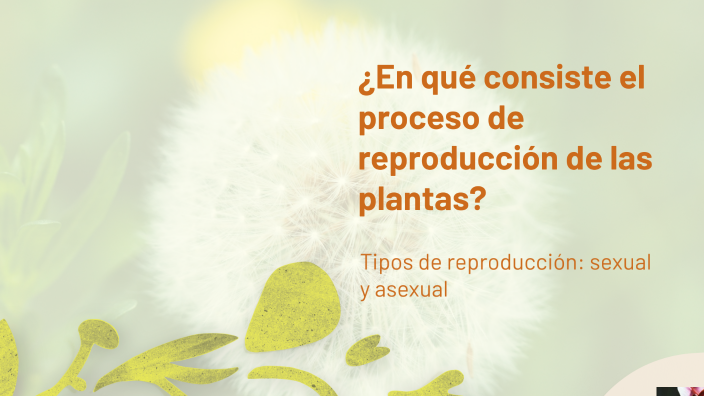 ¿En qué consiste el proceso de reproducción de las plantas? by paula ...