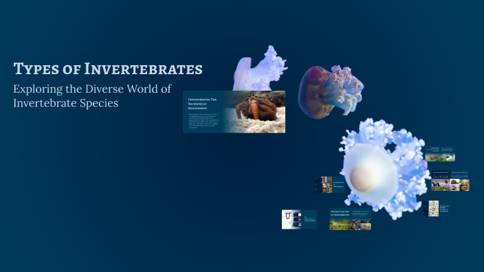 Types of Invertebrates by ha kargaryan on Prezi