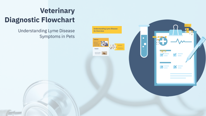 Veterinary Diagnostic Flowchart by Madison Latson on Prezi